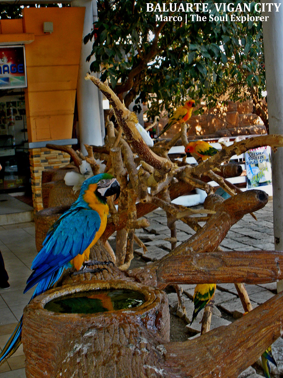 The Soul Explorer: Baluarte, Vigan City