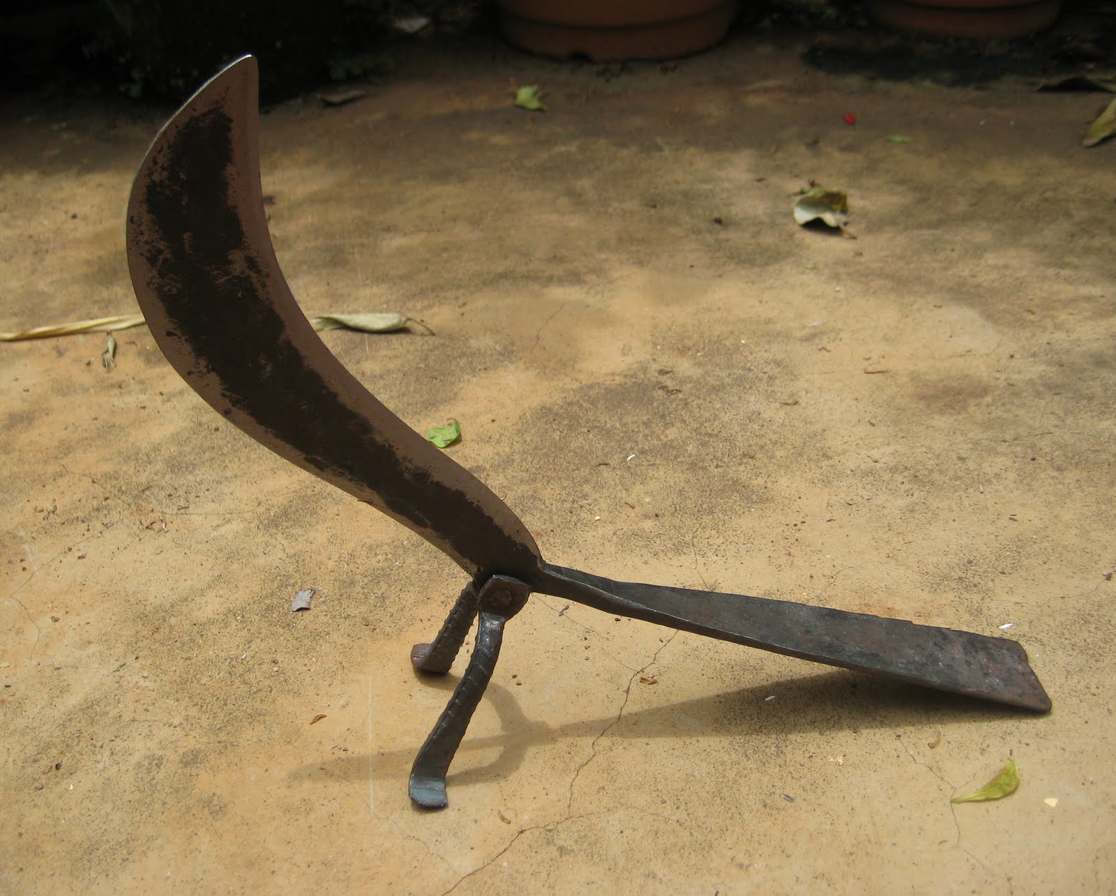 SUJATA'S BLOG: My Experiments with the Bothi