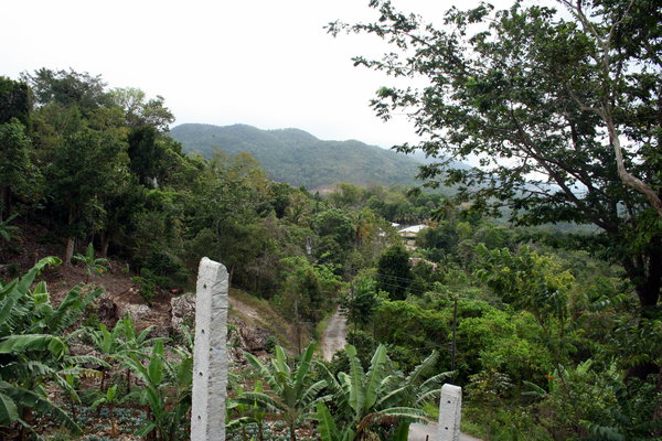 HISTÓRIA DO REGGAE: MONEAGUE