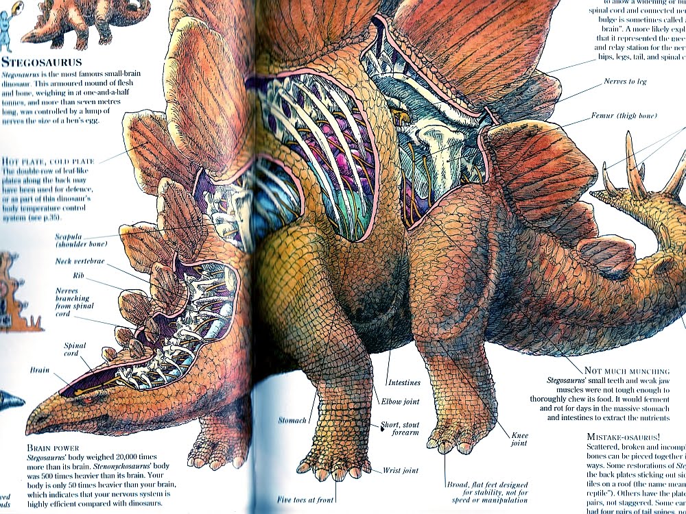 Love in the Time of Chasmosaurs: Vintage Dinosaur Art: Inside Dinosaurs