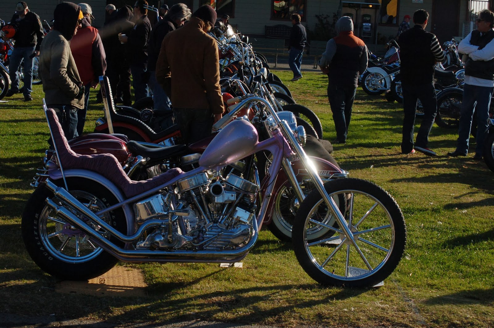 BIKERS,HIPPIES AND TATTOOED FREAKS