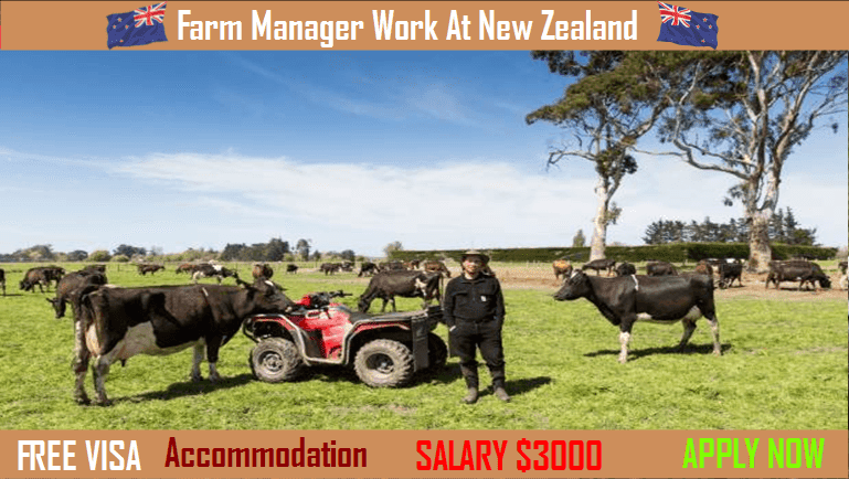 Farm Manager Work At New Zealand