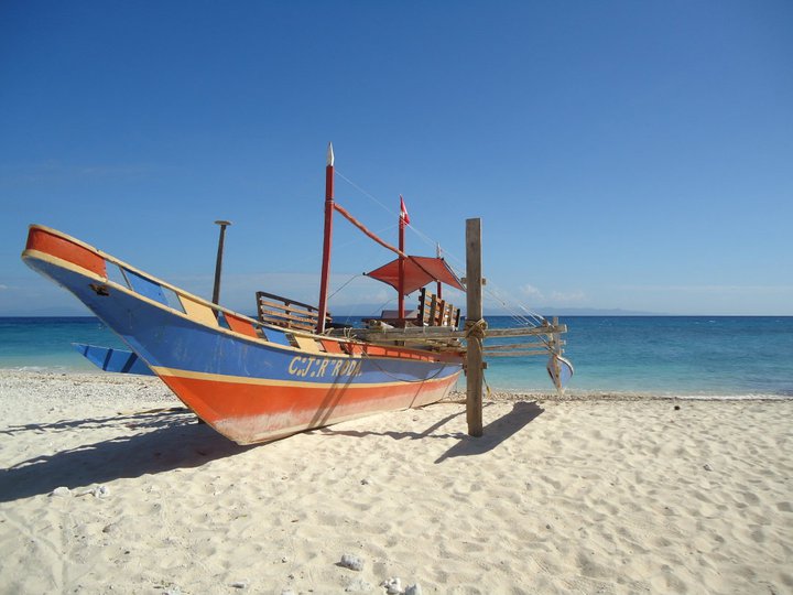 the cebu life: ALIGUAY ISLAND