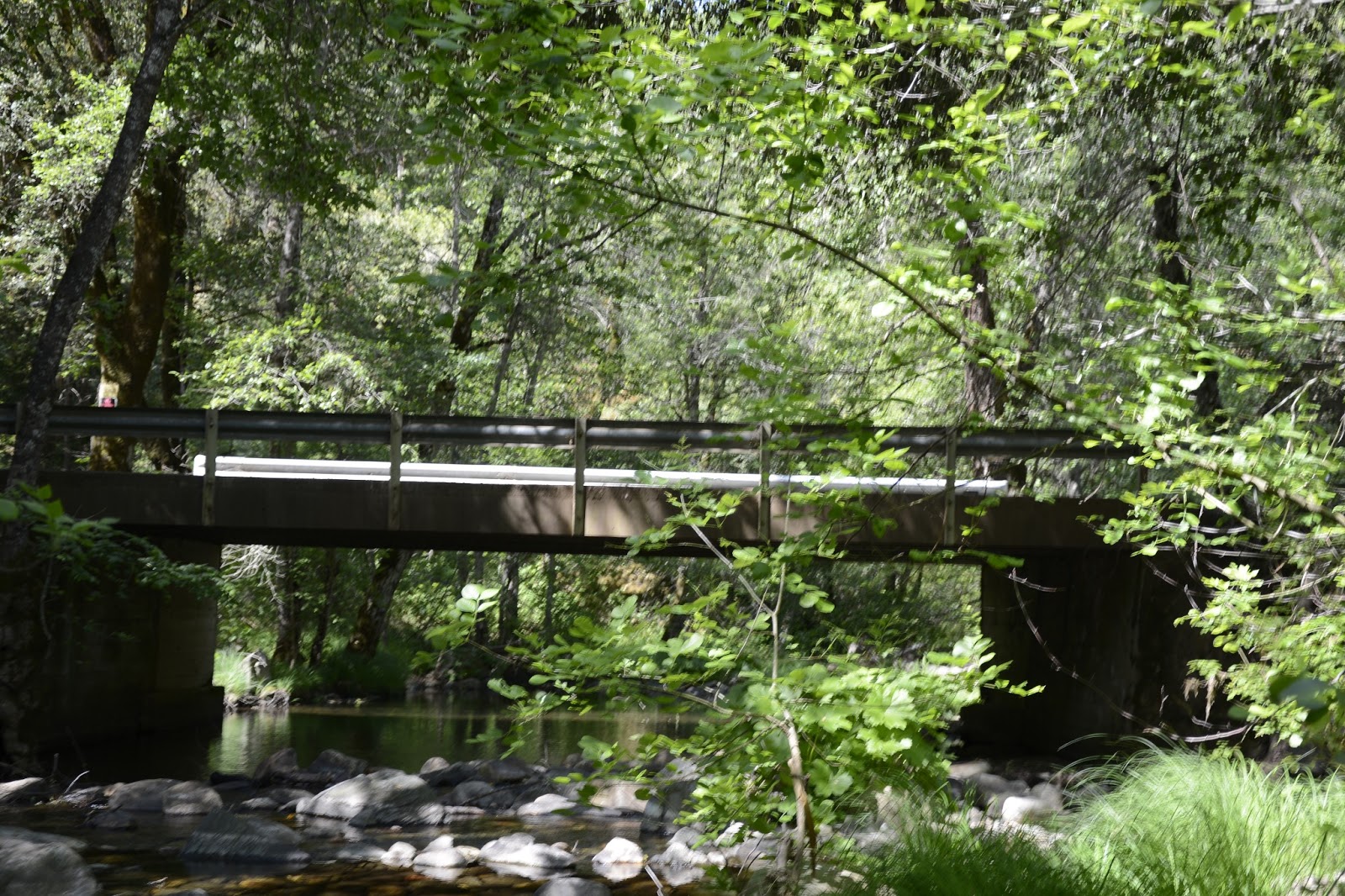 Bridge of the Week: June 2013