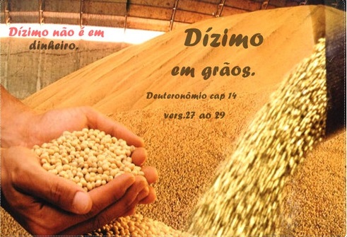 Dízimos, O que é dizimo?