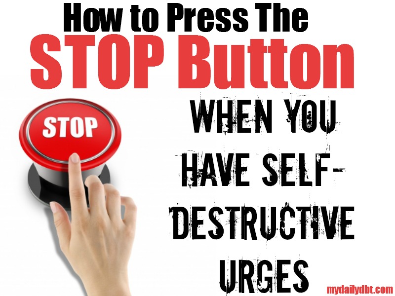 MyDailyDBT.com: December 2012