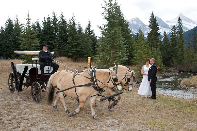 Alpine Peak Photography: Canmore Wedding Photographer - Cindy & Barry ...