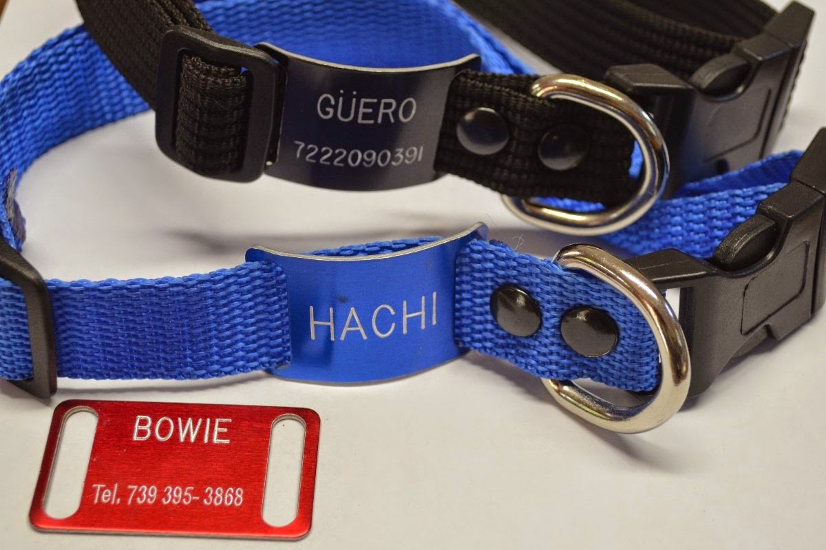Hazlo tu mismo - Placa de identificación para tu mascota - Mundo Feliz