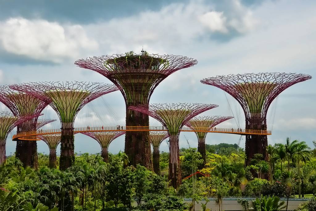 Singapore Supertrees Wiki at Carlo Simmons blog