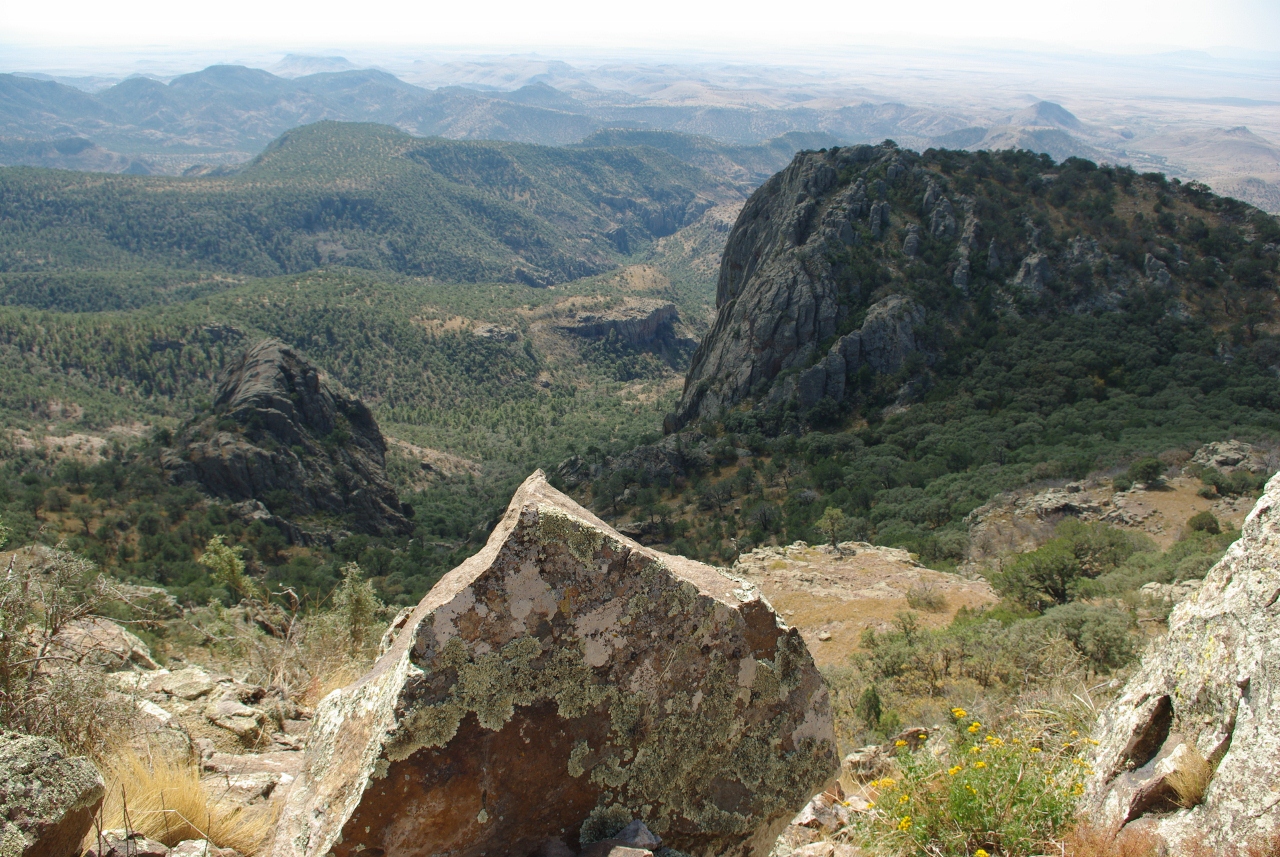 Here and There//Texas/New Mexico: Mt Livermore, Davis Mountains: Texas' #2