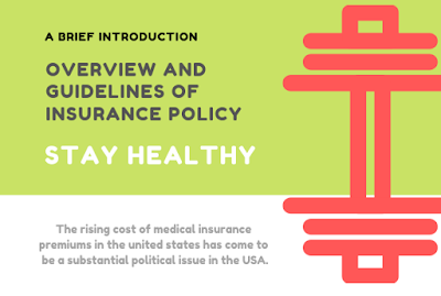 A Brief overview and Guidelines of Insurance Policy - INSURANCE ...