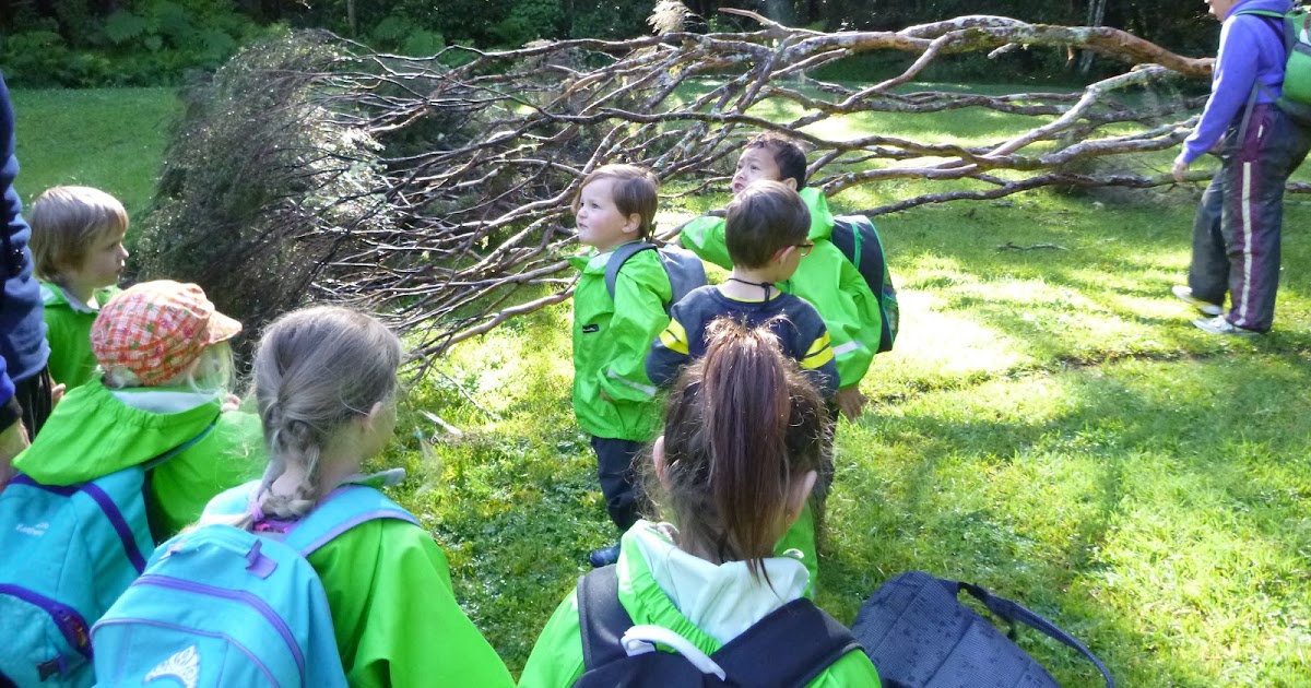 Mairtown Kindergarten: What a surprise discovery on the nature programme