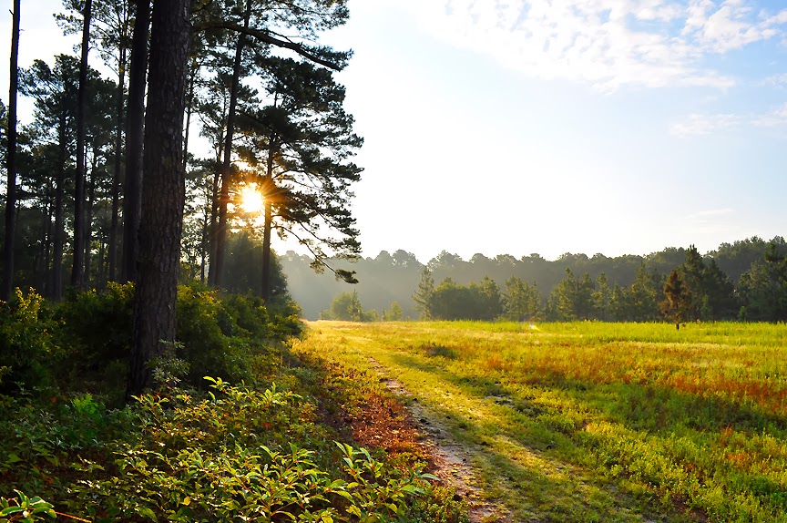 Howell Woods: February 2014