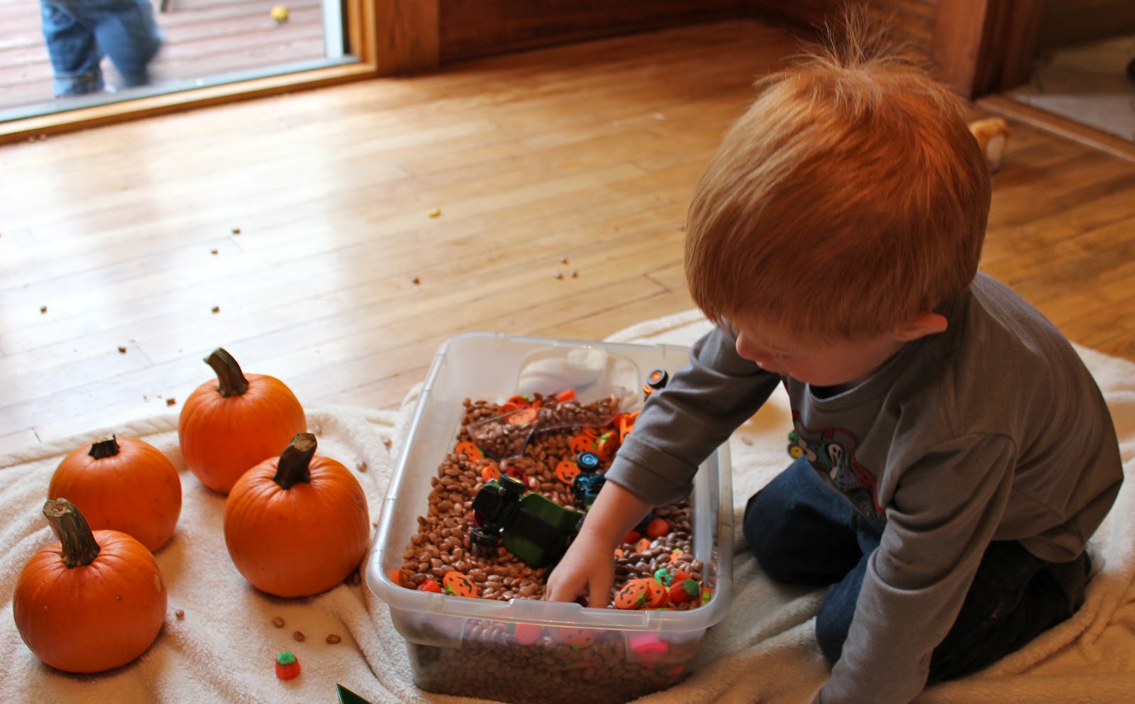 Letter 'P' Alphabet Box & Sensory Bin - Teaching Mama
