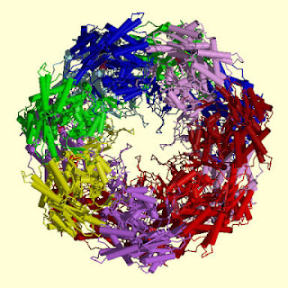 Cara Kerja Enzim - Teori dan Cara Kerja