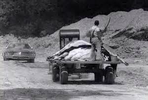 Yesterday's Memories and Other Useless Thoughts: PBB Disaster of the ...