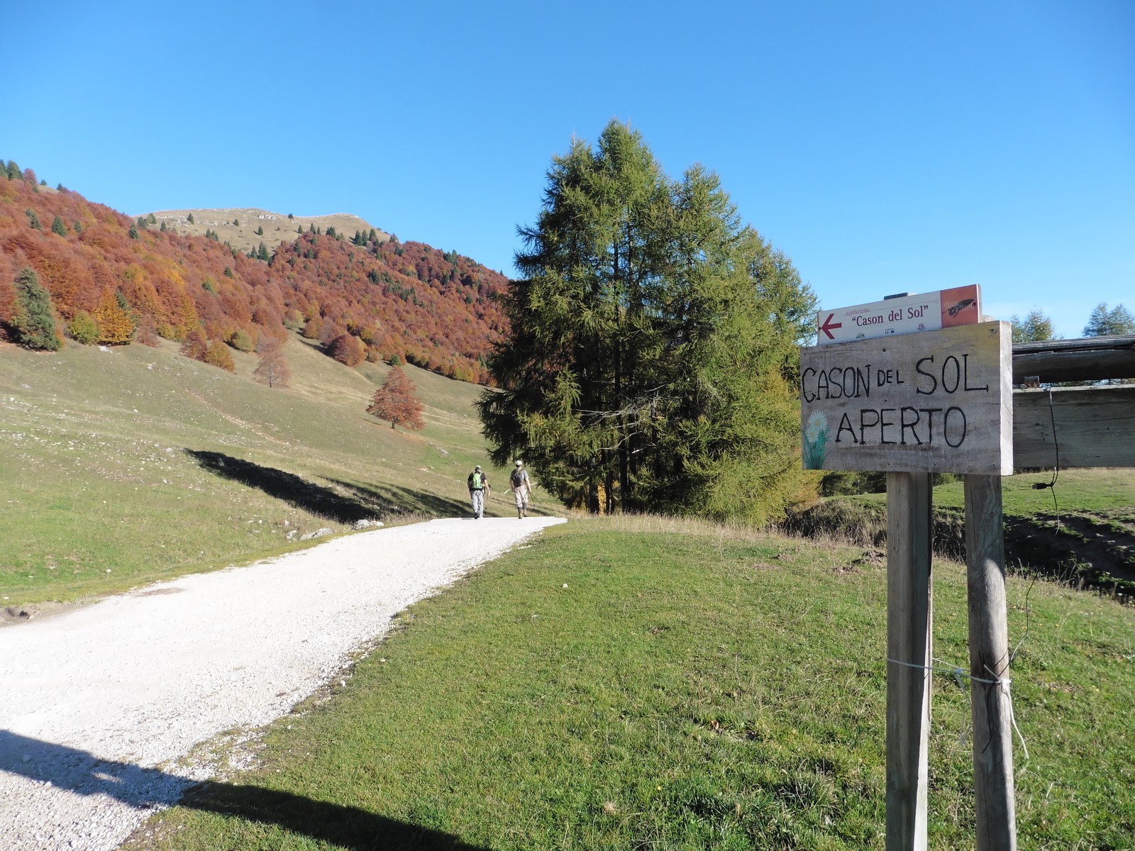 Su strade e sentieri: MONTE GRAPPA: giro delle malghe