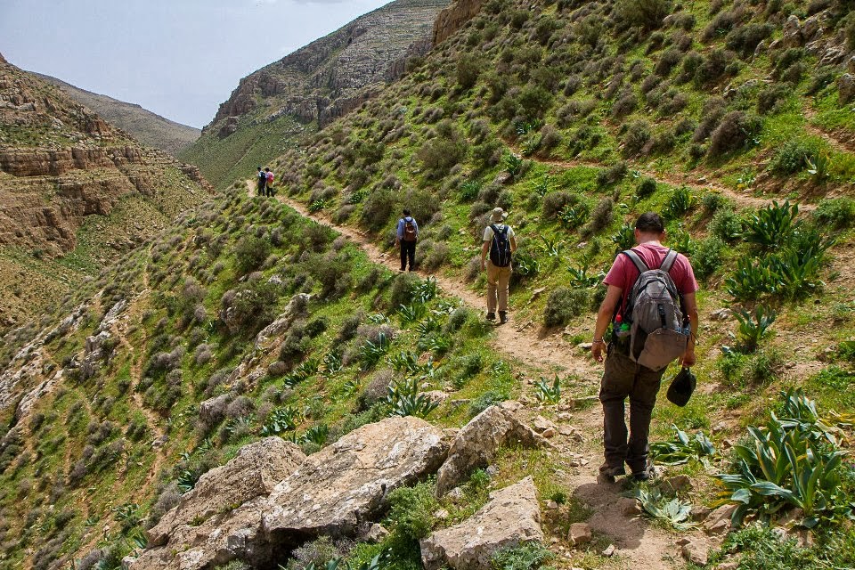 Annie's New Letters (& notes): Walking Palestine & The Abraham Path ...