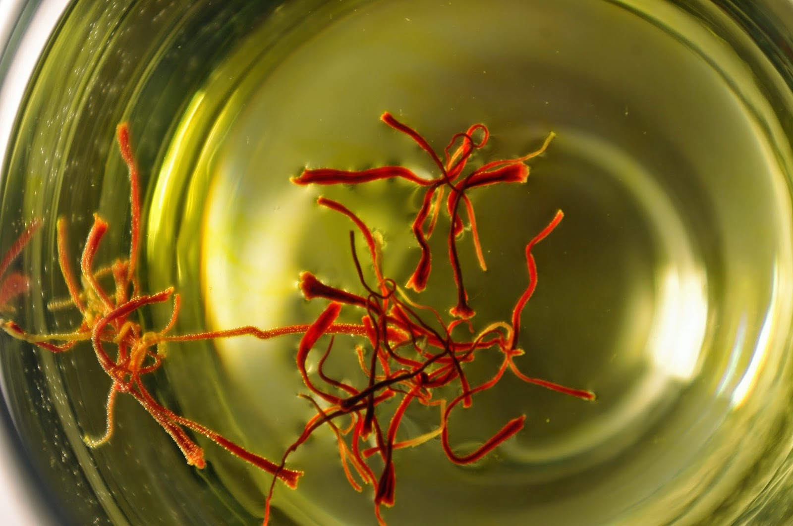 Explora Gourmet: Arroz con carne al azafrán - lunch box