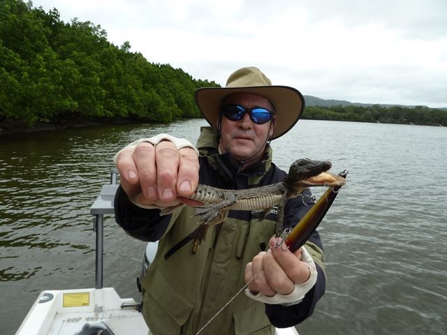 Fishing Cairns: Jacks on the Daintree