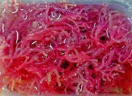 eilahamli: RAHSIA RUMPAI LAUT