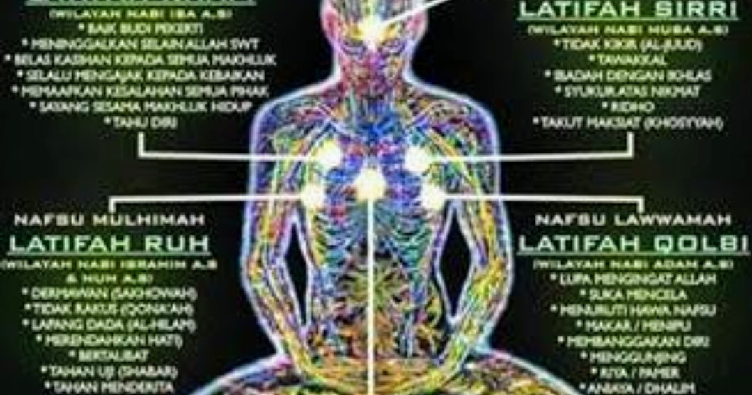 Mengenal 7 titik Lathifah - RAGA PUTIH