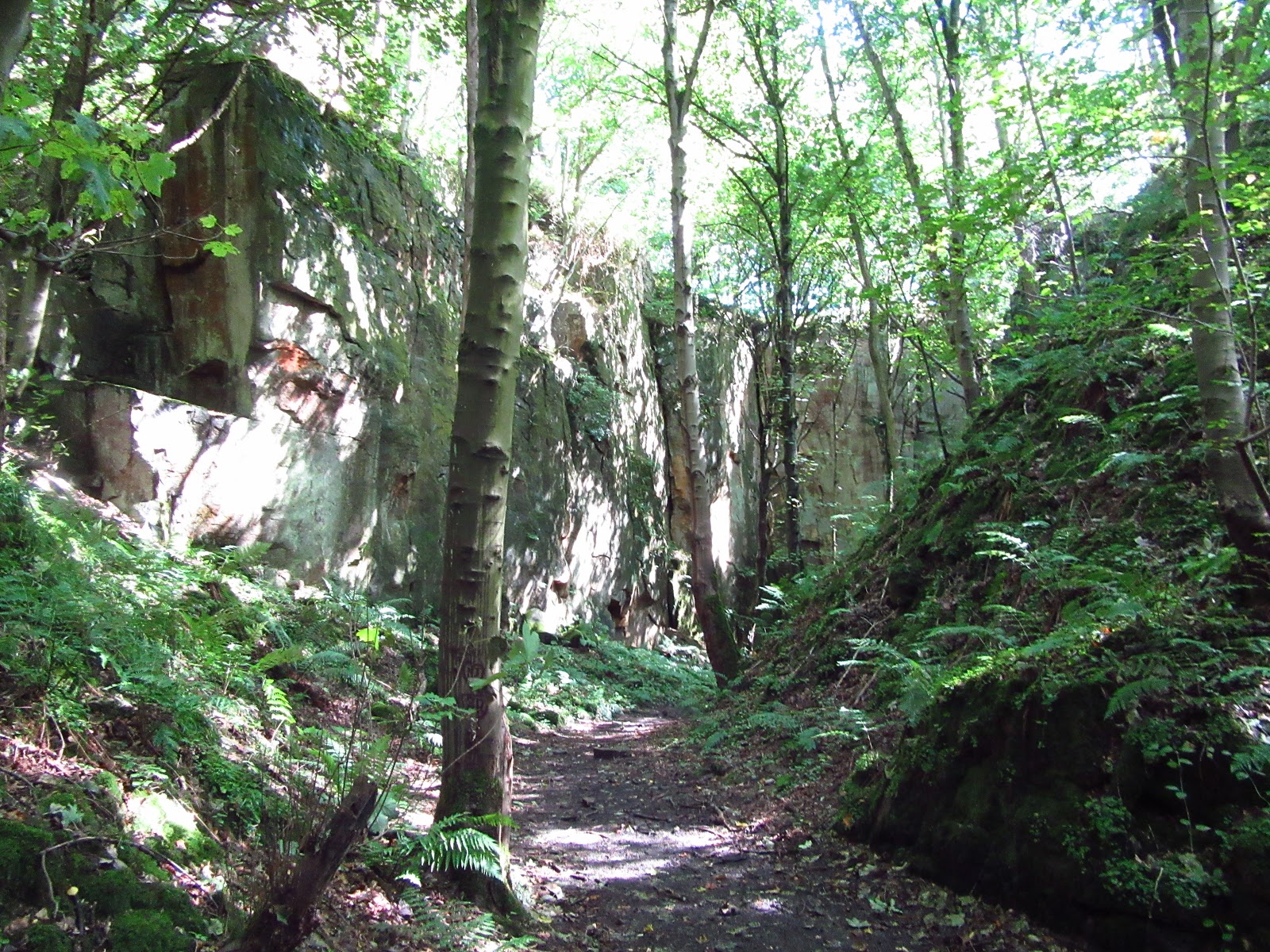 Bunny Mummy: Hilly Fields