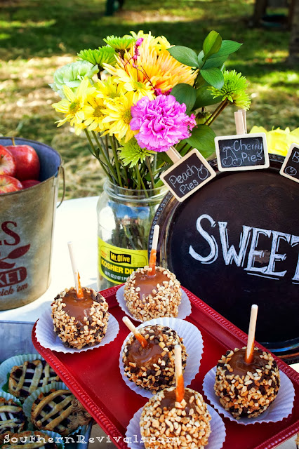 Our Country Fair Birthday Party - Southern Revivals