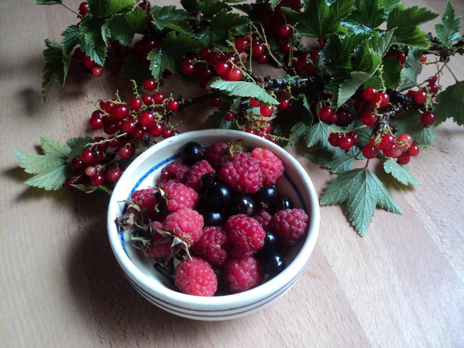 naturalete si firesc: Sanatatea din fructele de padure