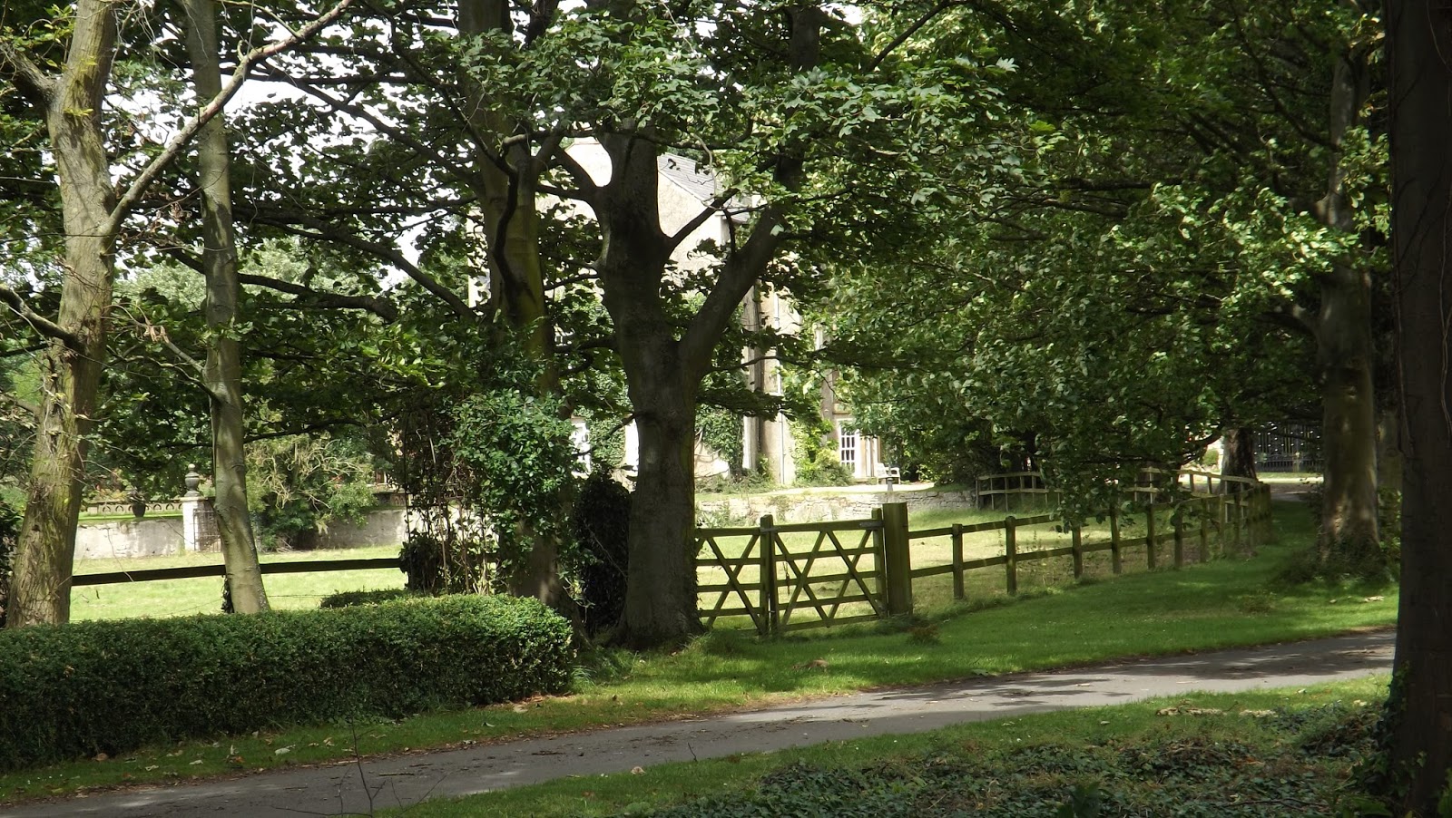 JJ's Wargames: Battle of Towton 29th March 1461