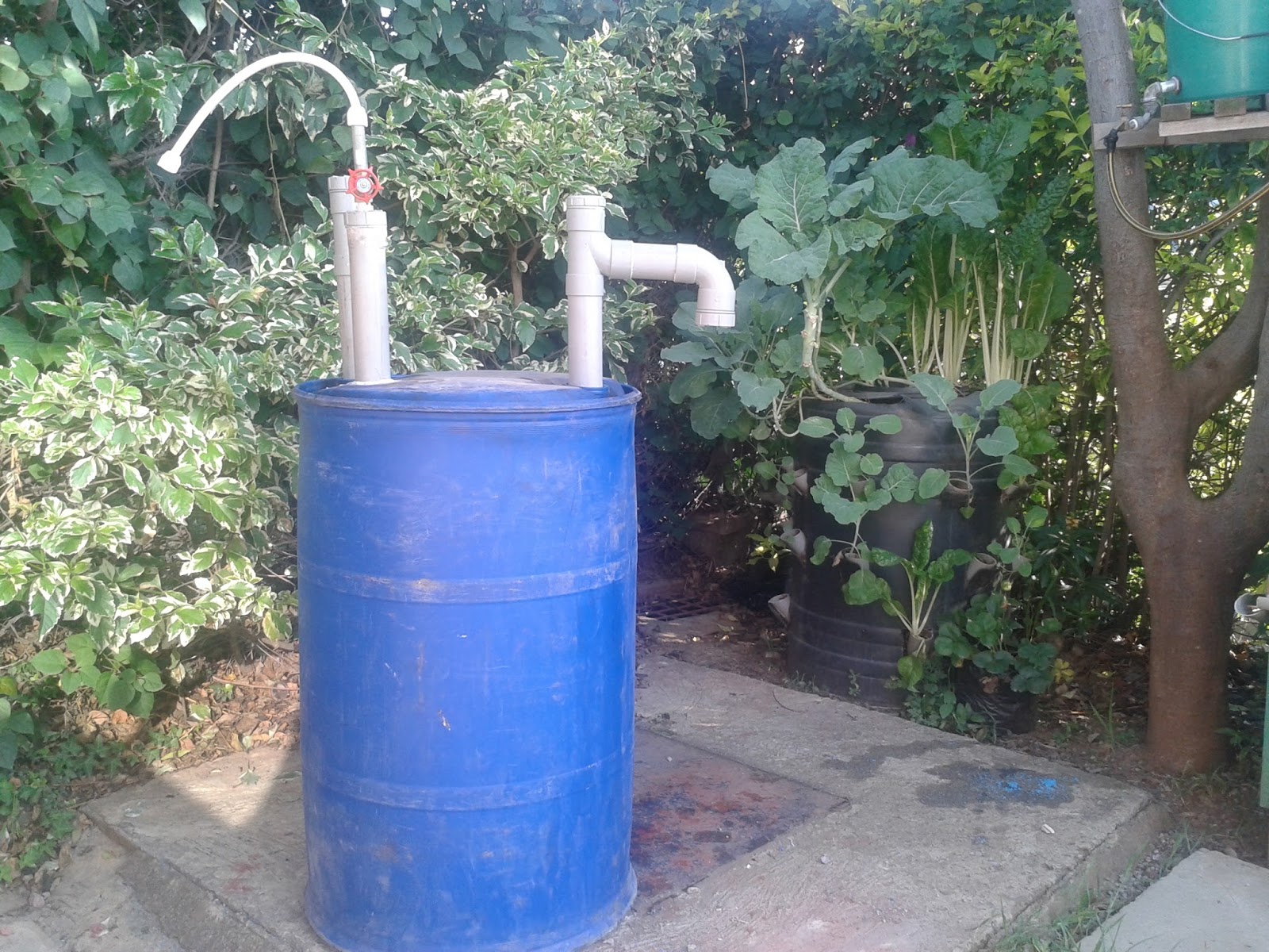 200ltr Backyard Compact Biogas Digester: My compact biogas dragon!