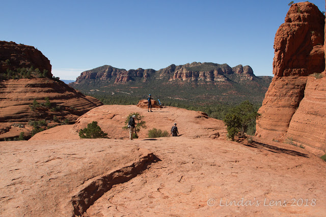 Linda's Lens: Sedona - Chicken Point and the "Hog" Trails