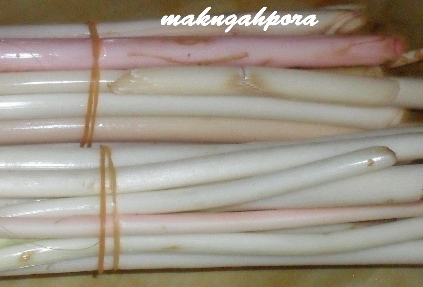 Mak Ngah Pora: Kerabu umbut tepus