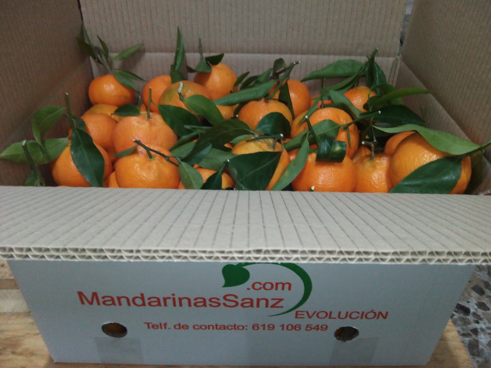 Clemenules Valenciana: Erase una vez la mejor mandarina clementina del ...