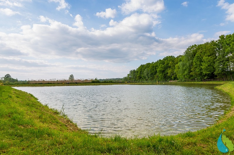Łowiska Komercyjne w Małopolsce: Łowisko Komercyjne Roków