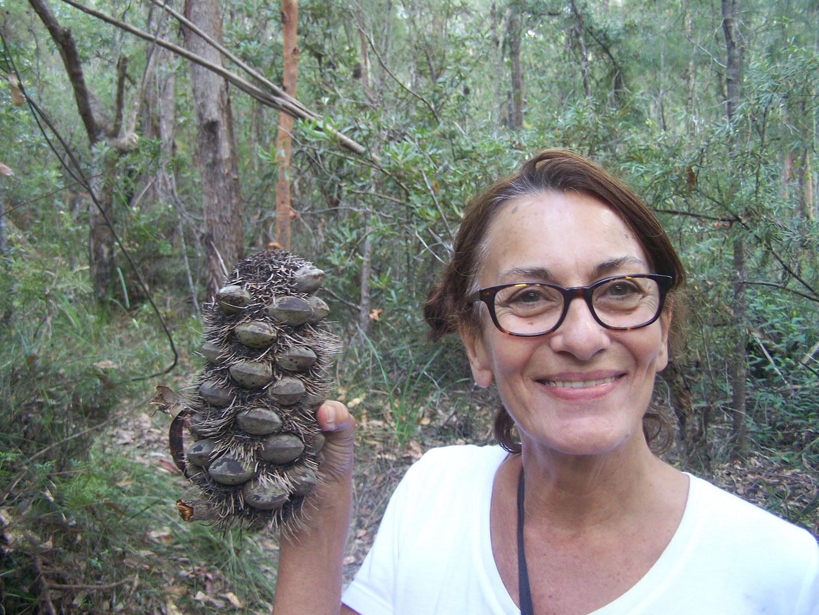 Little Australia: Stick Cocoon Creature, Banksia Man, and Singing Tree