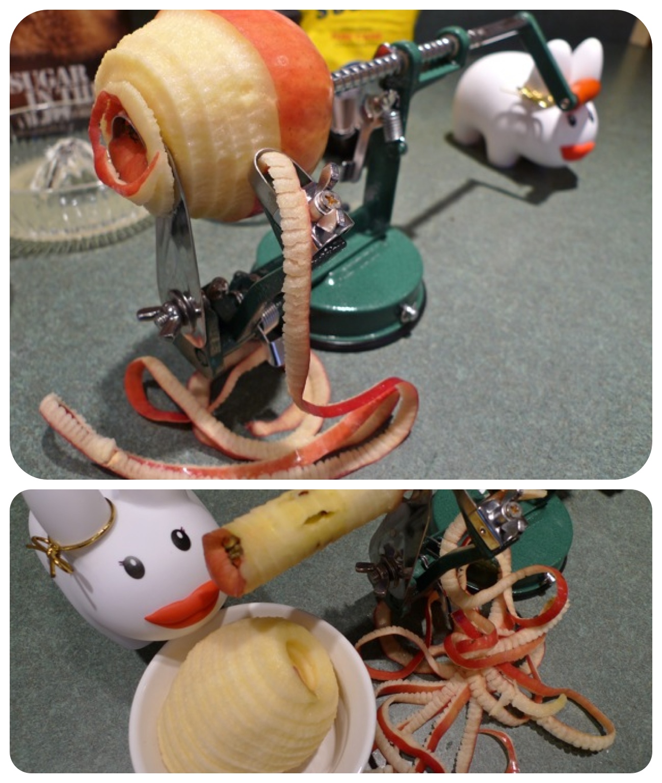 Year of the Labbit: 3.14 HAPPY PI DAY!