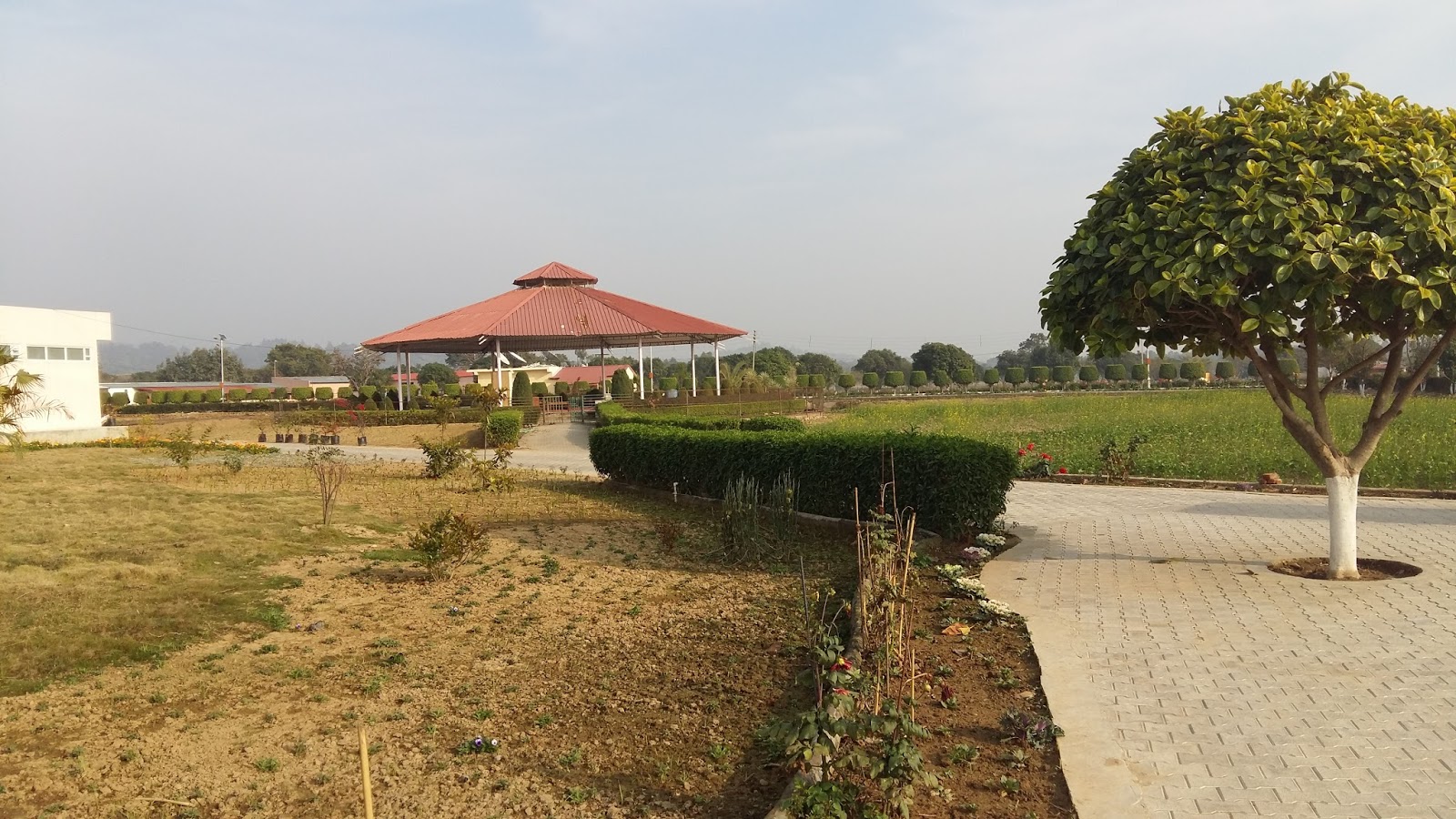 HealthyLyf: Patanjali yog gram - Reviews - My experience - in Haridwar