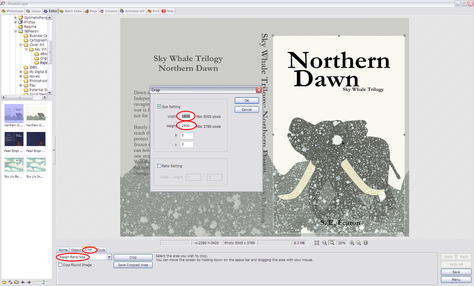 How to create a book cover using free photo editing software | S. E. Fearon