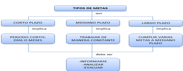 FORMACIÓN CÍVICA Y ÉTICA II: TIPOS DE METAS