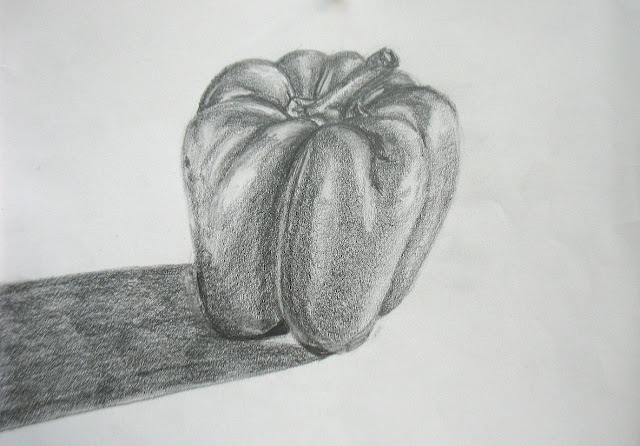 Introduction to Studio Art: Project 3: Bell Pepper Drawing