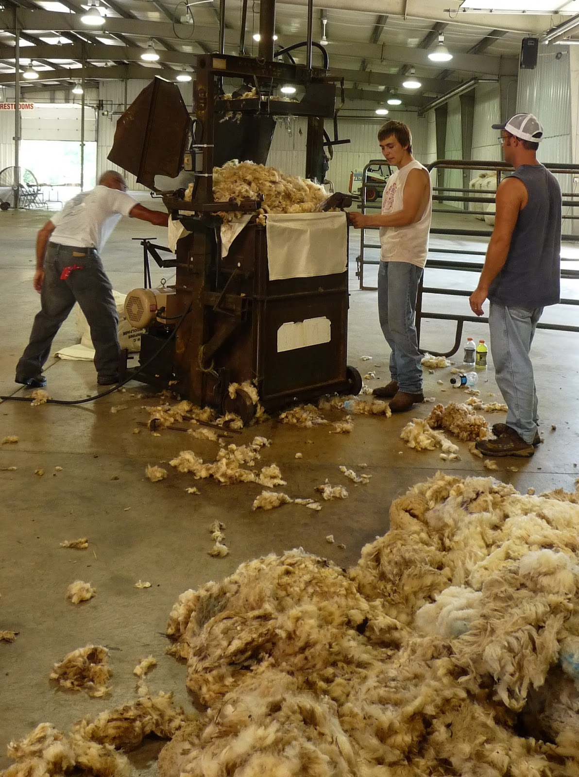 Wild Rose Farm: Busy At The Wool Pool!