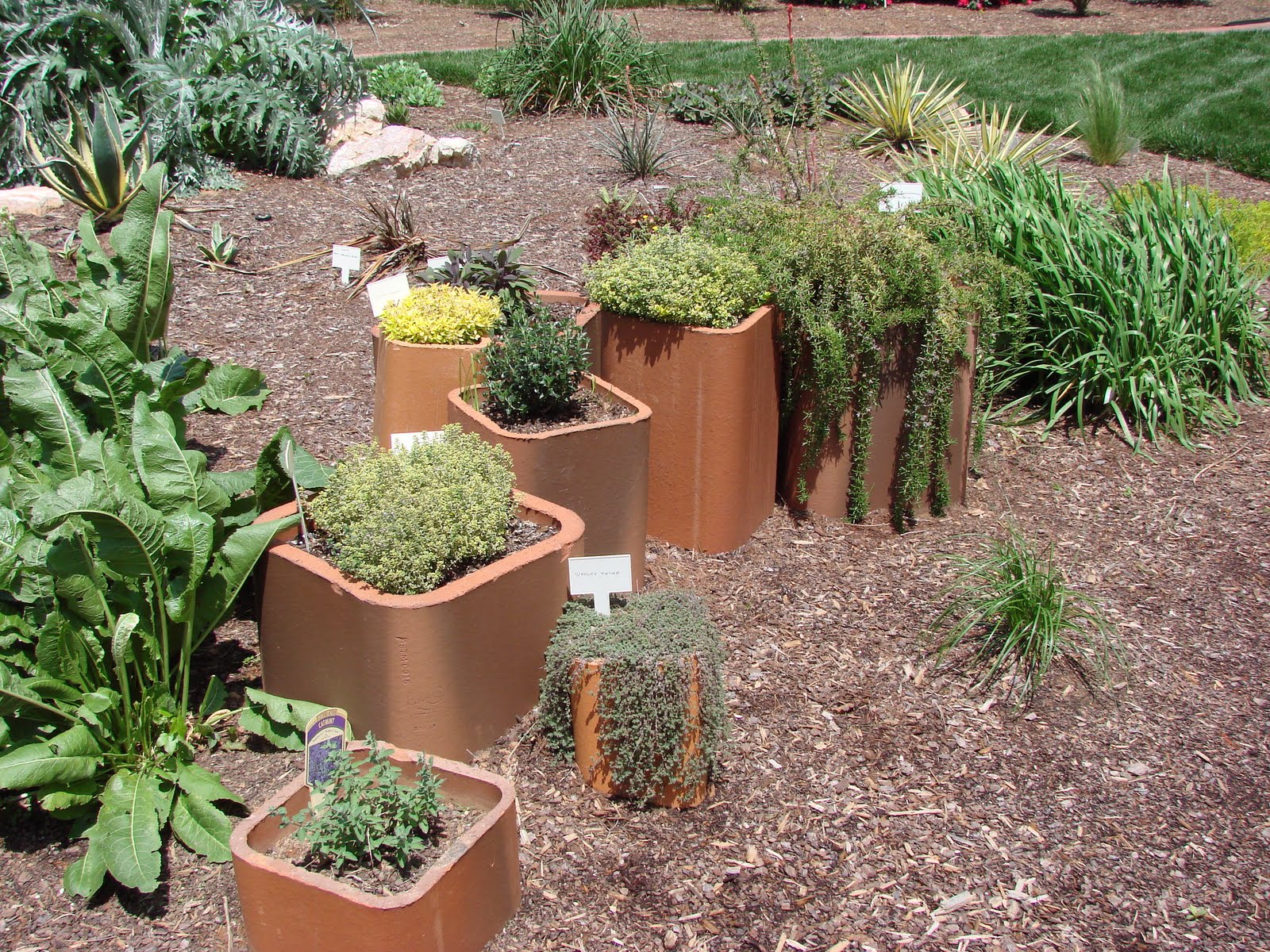 Simple Herbal: Trees and Shrubs can also be Considered Herb