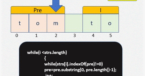 Web Snippets: Longest Common Prefix