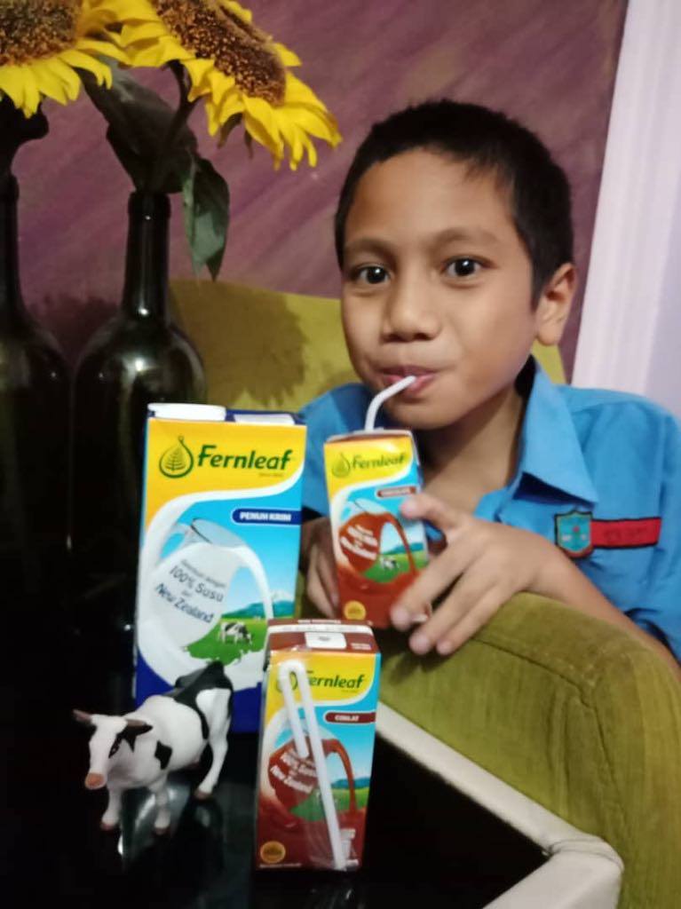 Susu Fernleaf UHT Memberi 100mmmmm Kebaikan