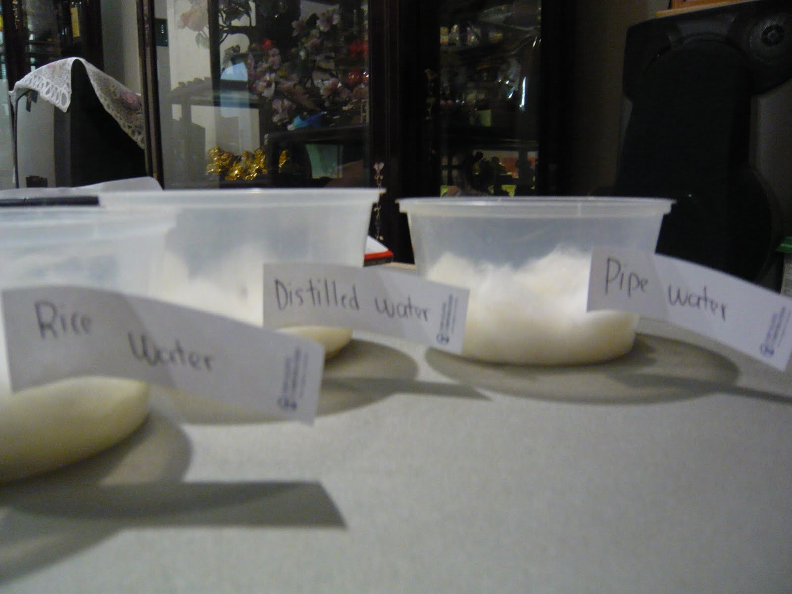 Rice Water: Outcome. (rice water)