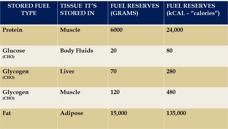 Tuit Nutrition: ITIS -- It's the Insulin, Stupid (pt 5/8)