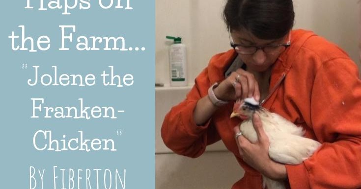 Fiberton Acres Blog: Jolene, our FrankenChicken.