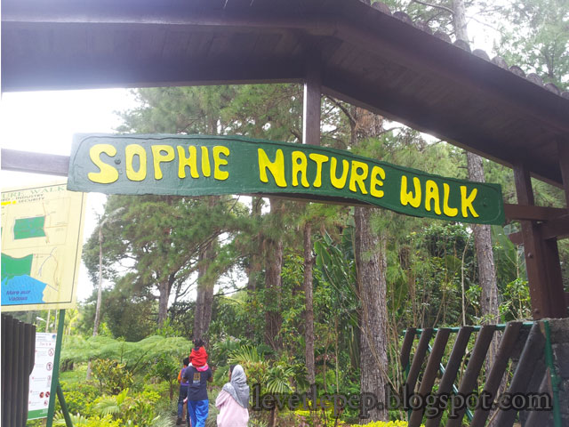 Sophie Nature Walk in Mauritius (Near Mare aux Vacoas)