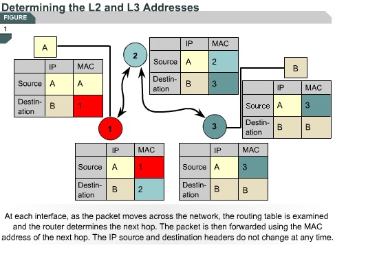 CCNA :) Be a Good Network Administrator: Determining L2 and L3 addresses
